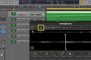 Serato Sample - Tutorials - Learn More